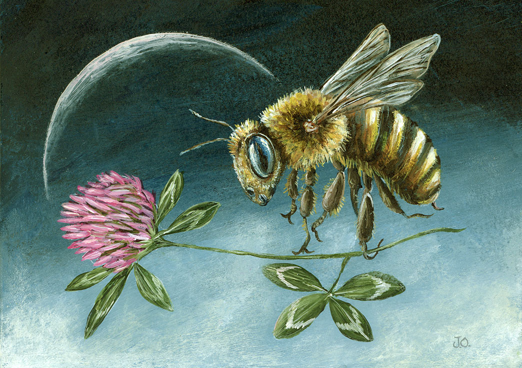 Home [www.thestorybookstudio.com]